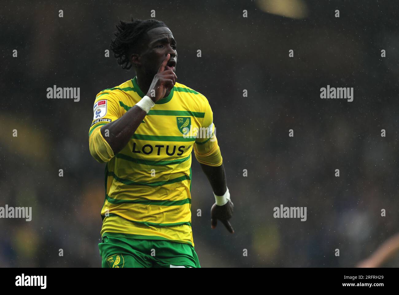Norwich City's Jonathan Rowe celebrates after scoring his side's first ...