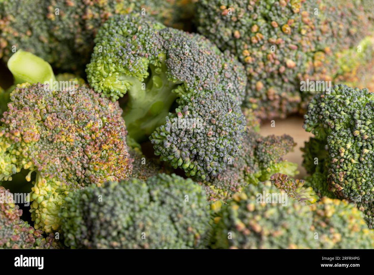 Green ripe broccoli in raw form, broccoli cabbage on the kitchen table ...