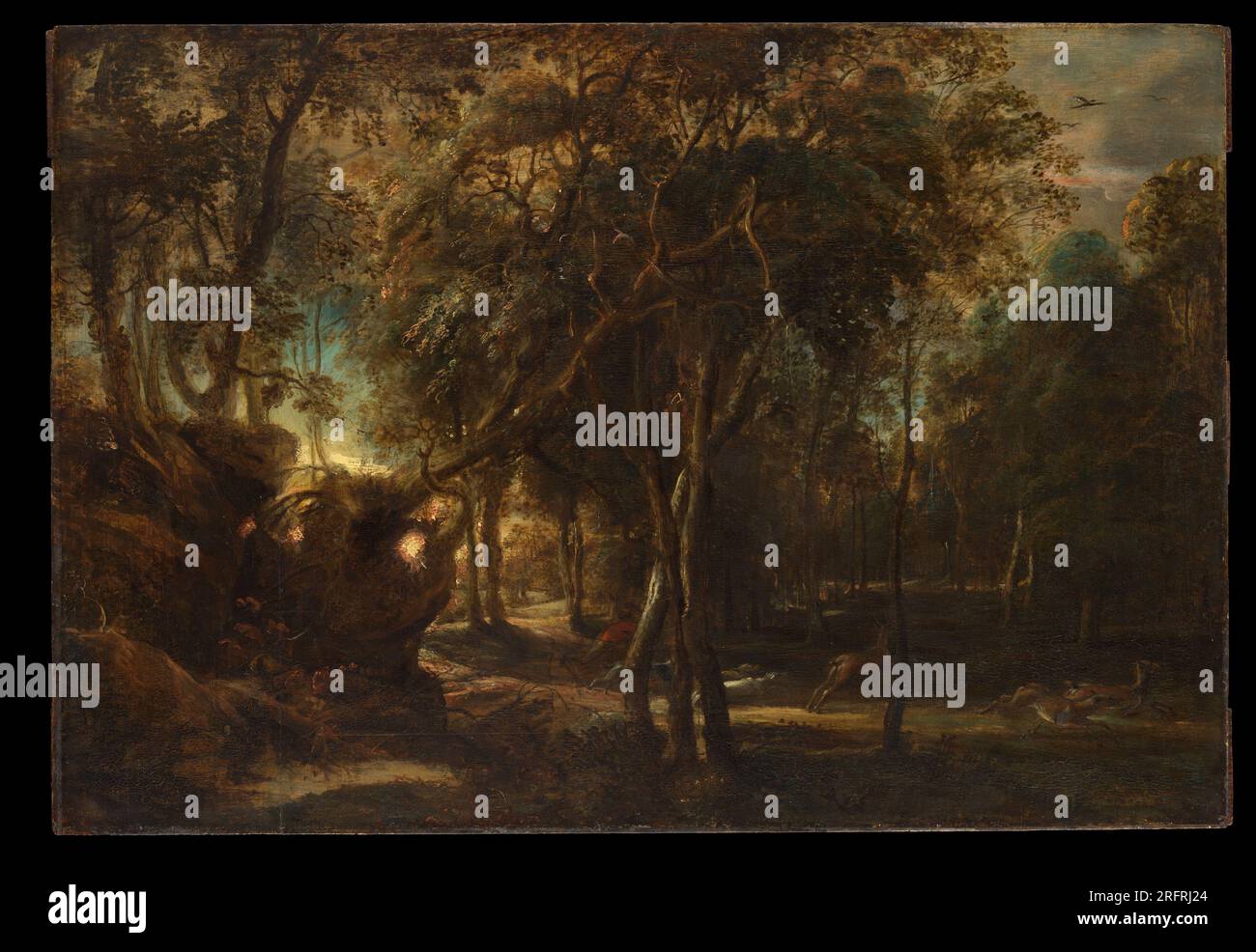 A Forest at Dawn with a Deer Hunt. Peter Paul Rubens. ca. 1635 Stock ...