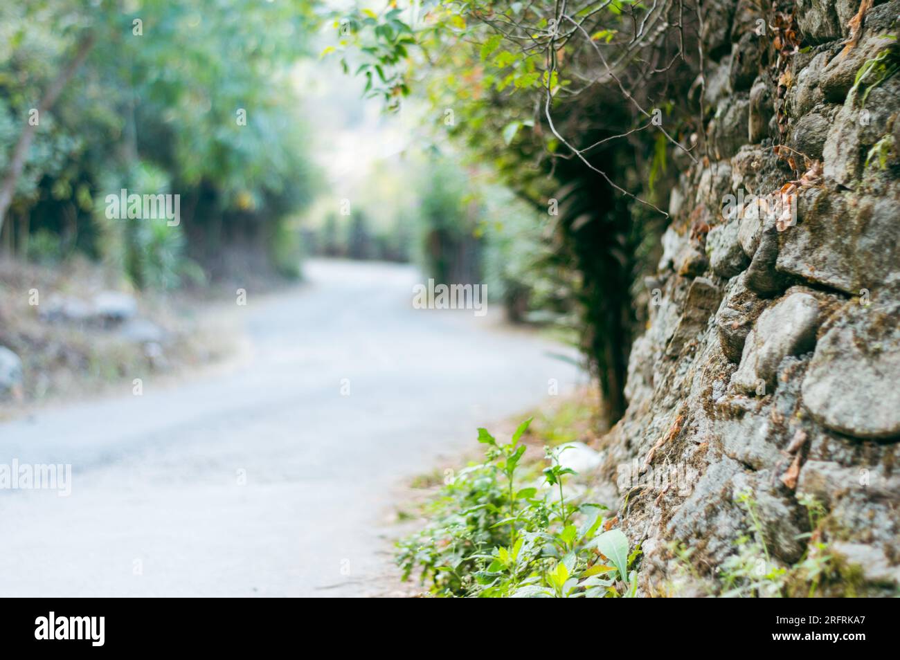 A beautiful asphalt road leading through with blur stone walls in the ...