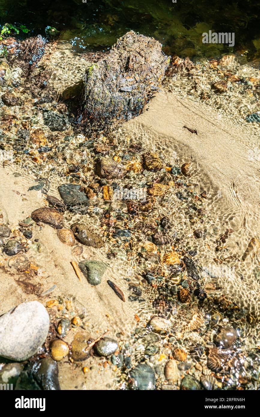 A detailed shot of a clear creek at Dash Point State Park in Washington ...