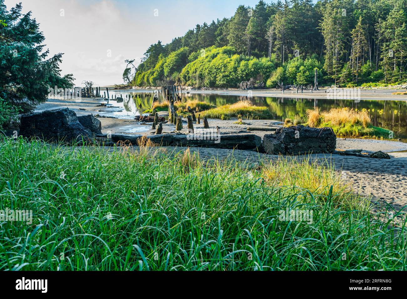 Moclips hi-res stock photography and images - Alamy