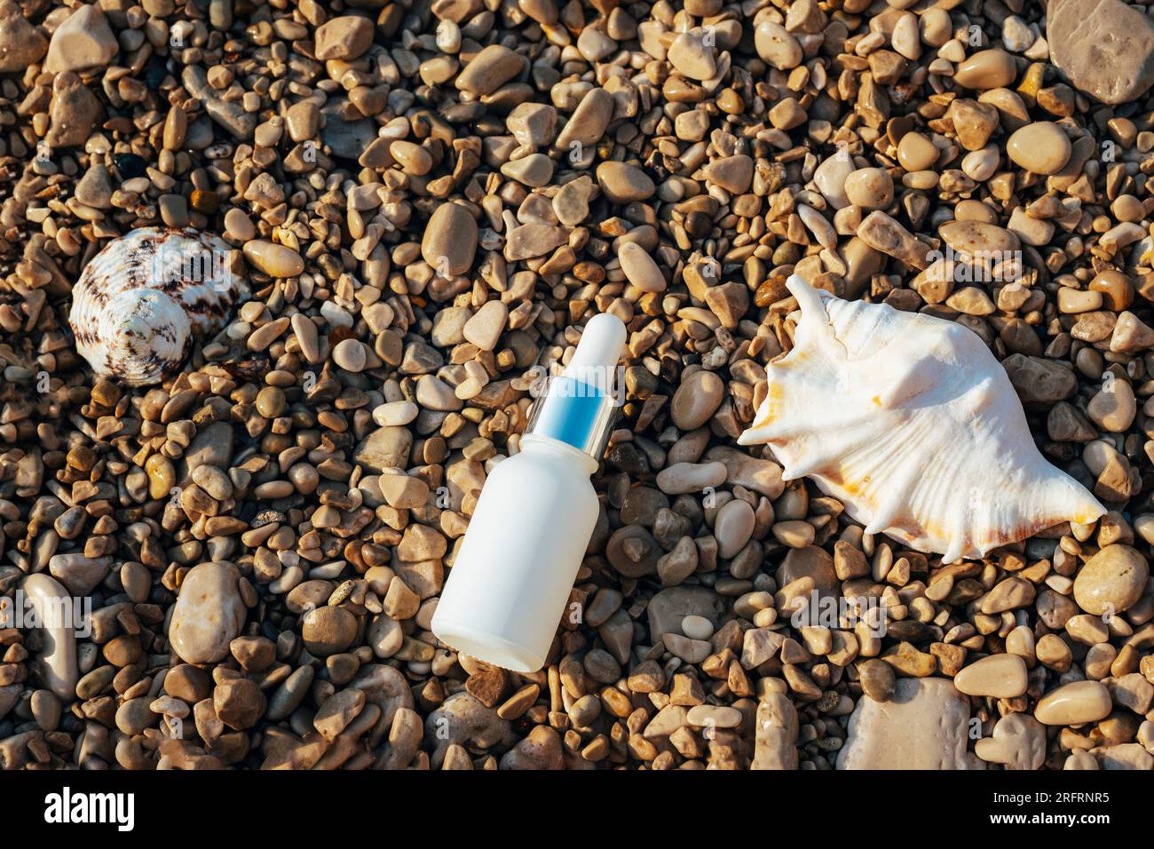 Bottle of serum or cosmetic oil on pebble beach with seashells. Natural ...