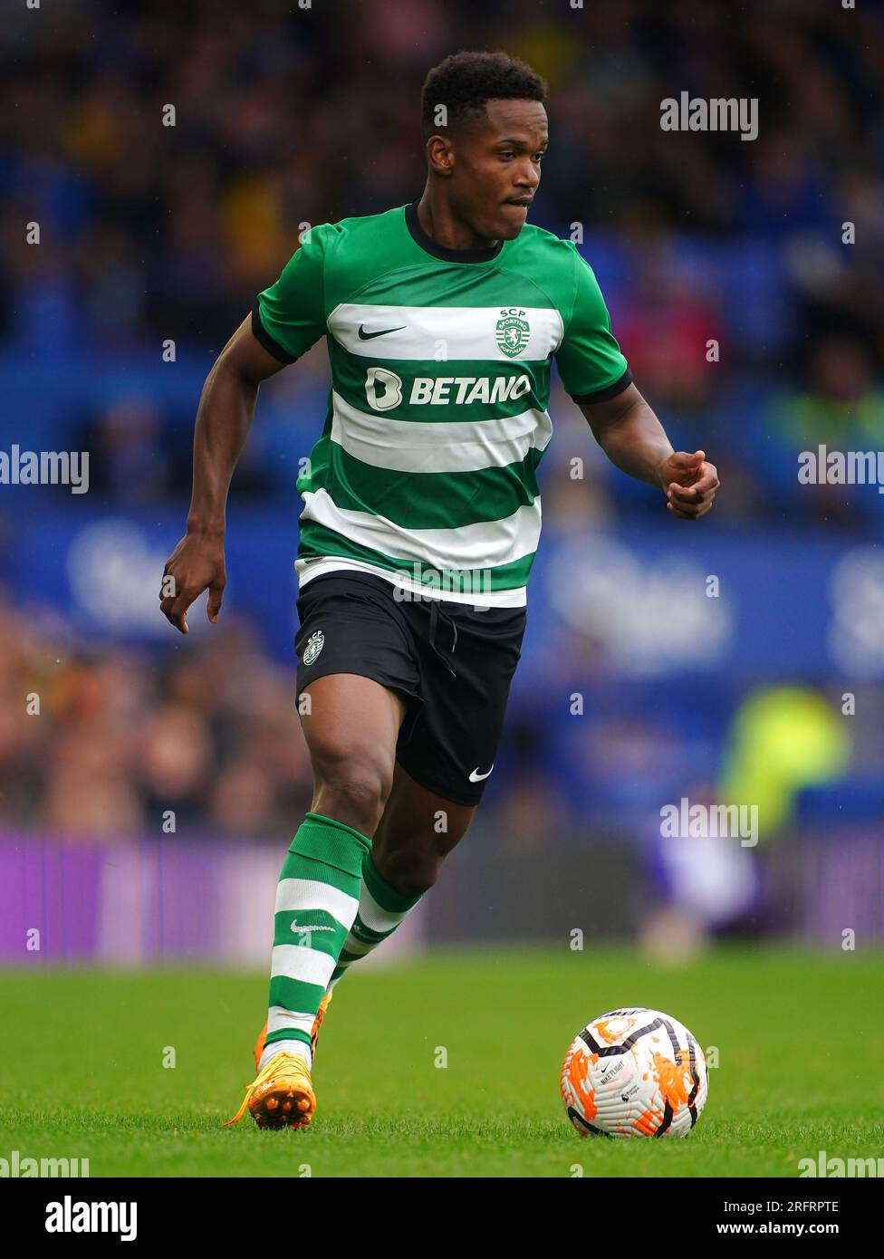 Geny catamo sporting cp hi-res stock photography and images - Alamy