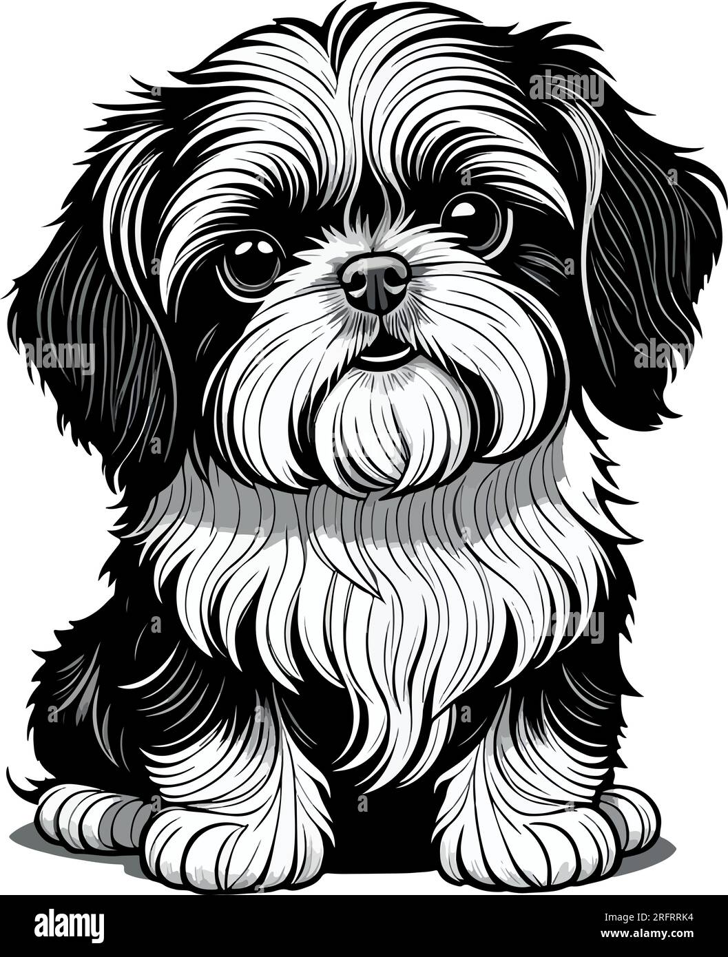 Little adorable shih tzu dog Cut Out Stock Images & Pictures - Alamy