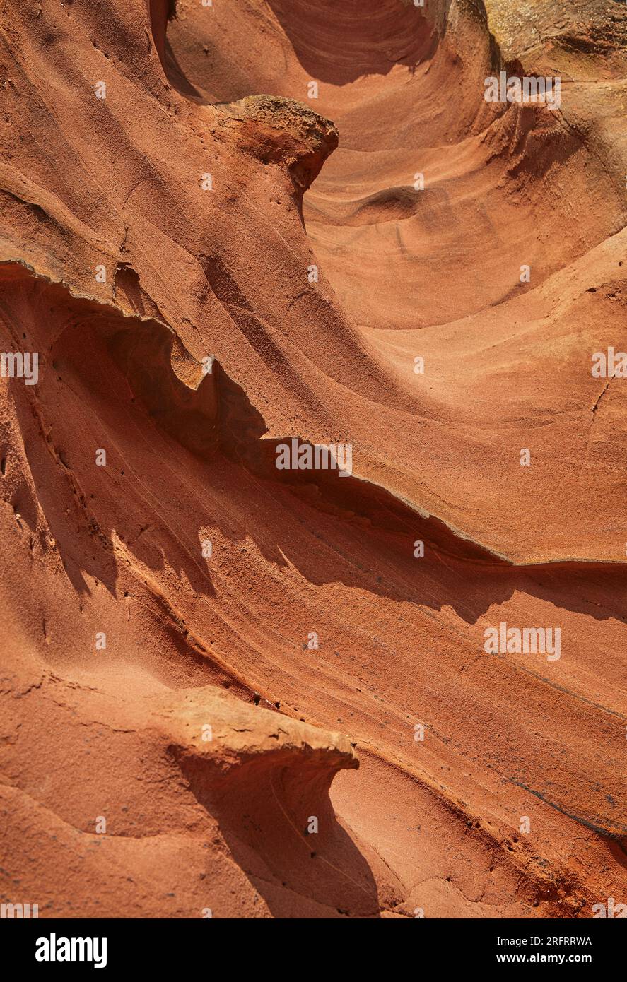 Wind- and rain-eroded patterns in a red sandstone cliff, on the coast ...