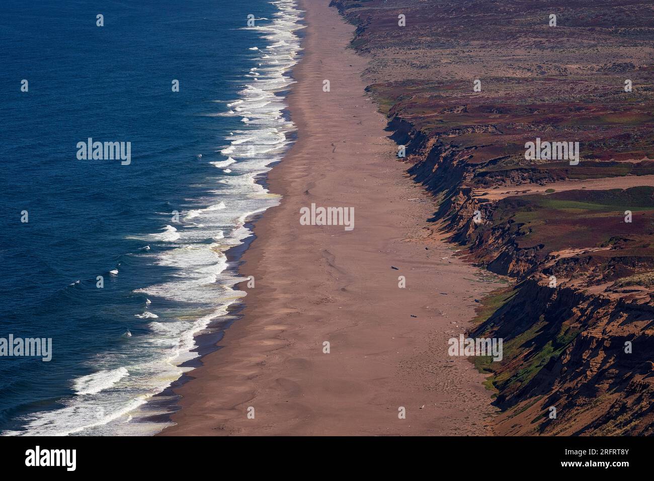 Waves along Point Reyes National Seashore in California Stock Photo - Alamy