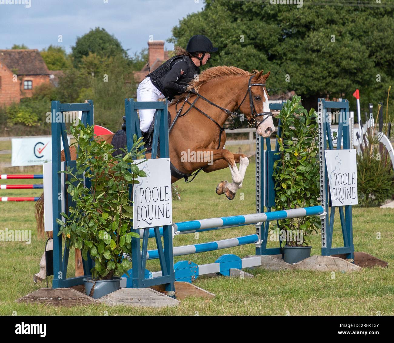 Show Jumping / eventing Stock Photo - Alamy