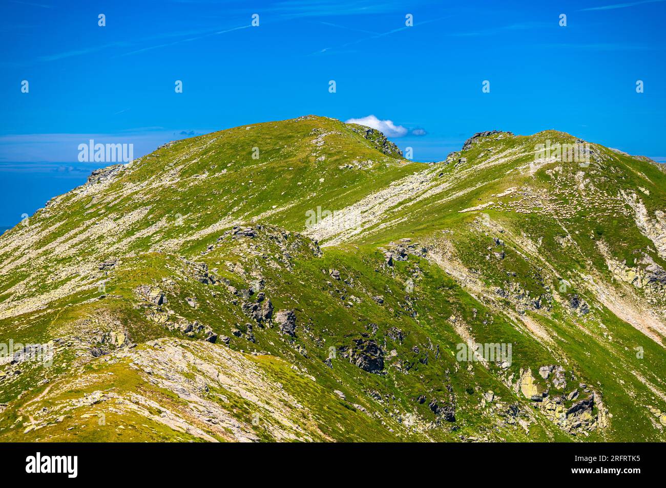 Summer day mountain landscape. Mount Costa lui Rus and Piatra Taiata ...