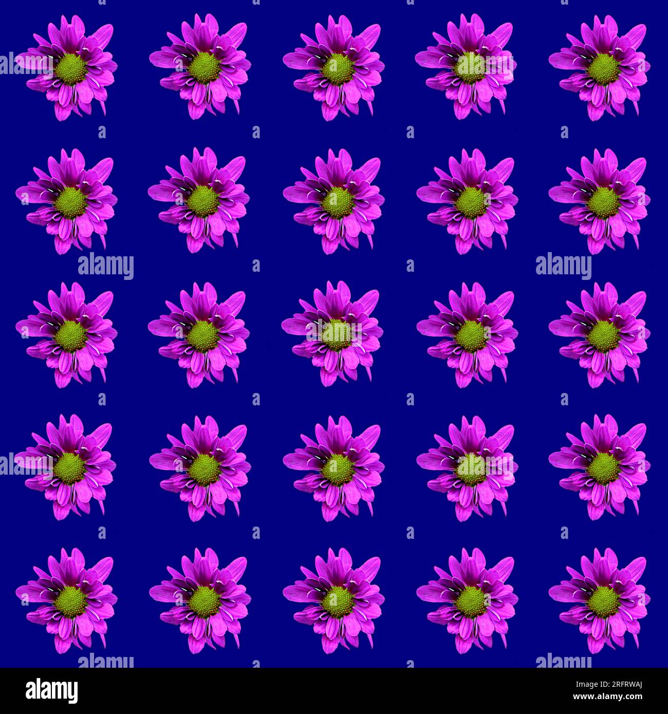 Grid plant hi-res stock photography and images - Alamy