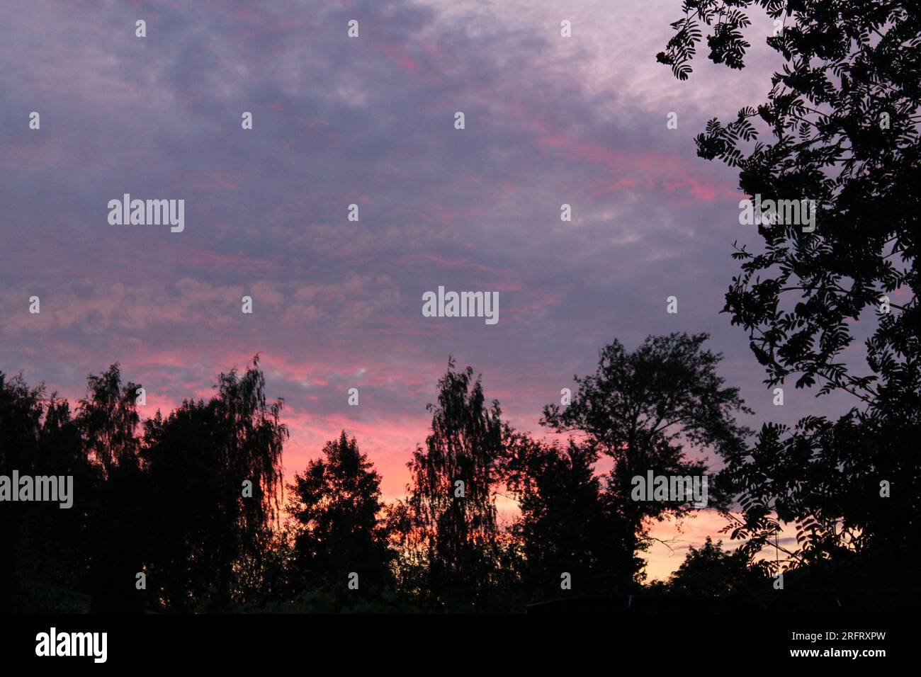 Beautiful sunset with trees hi-res stock photography and images - Alamy