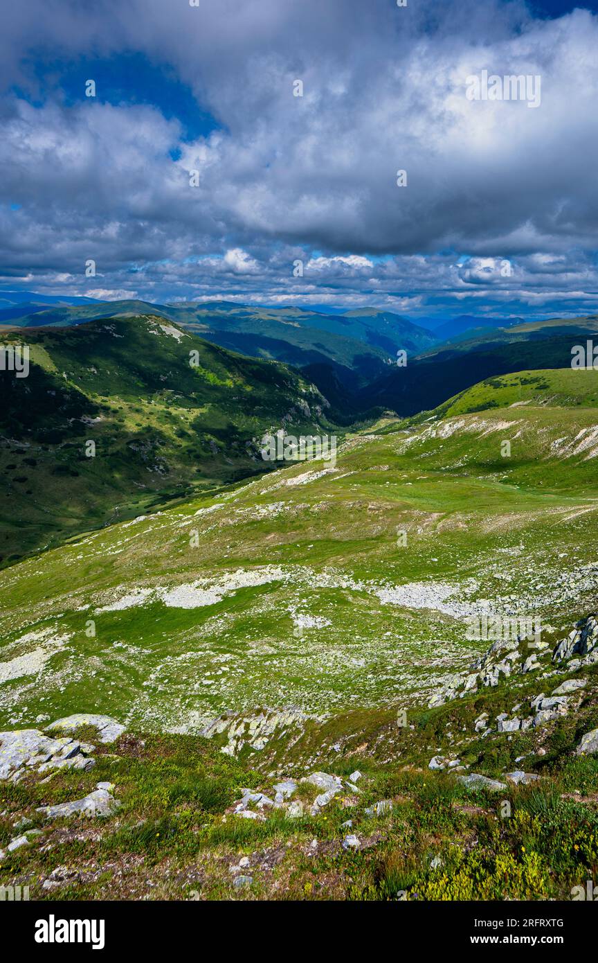 Summer landscape of the Parang Mountains, Romania. Beautiful view from ...