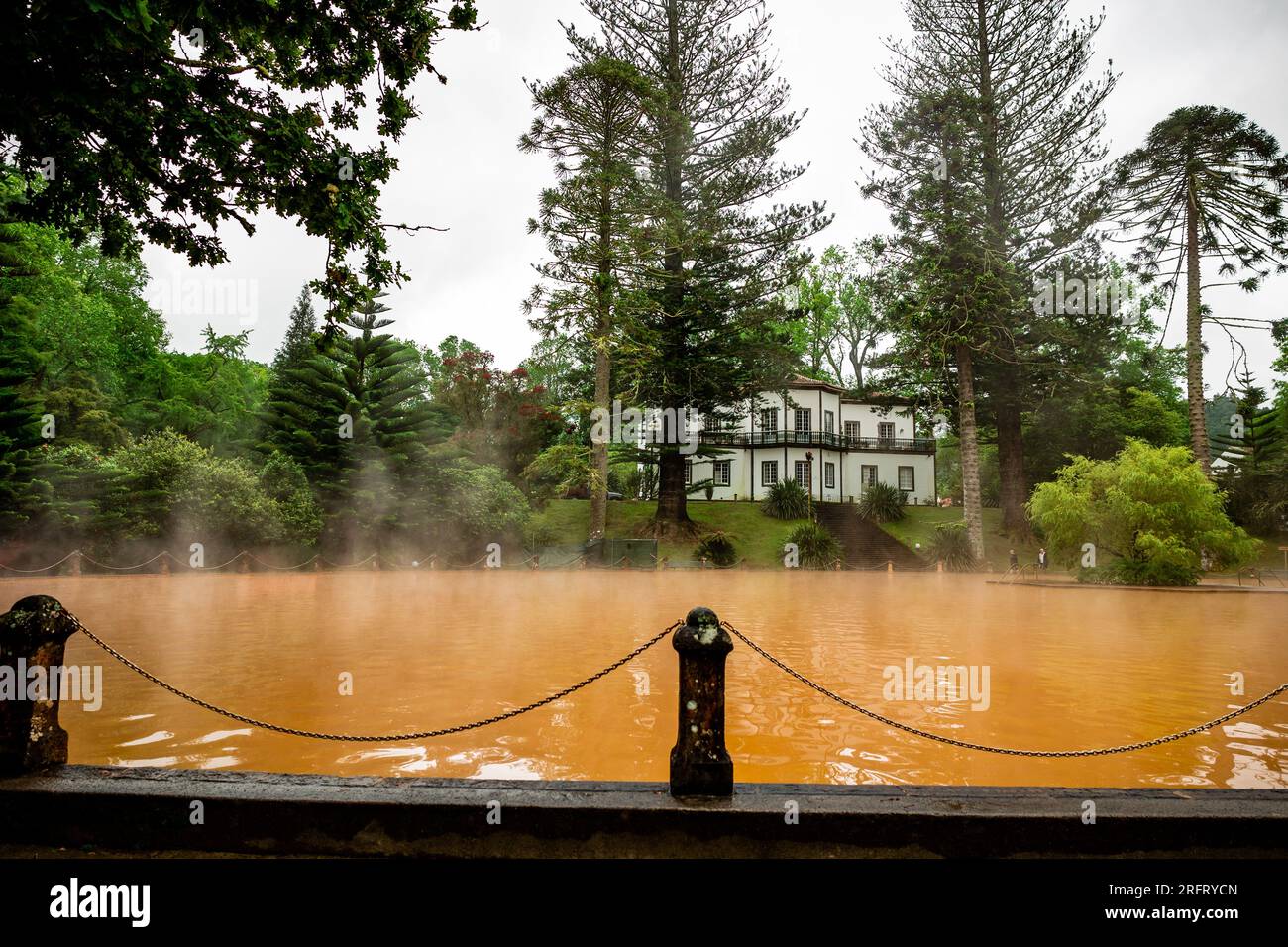Thermal water pool in Terra Nostra, botanical garden, São Miguel ...