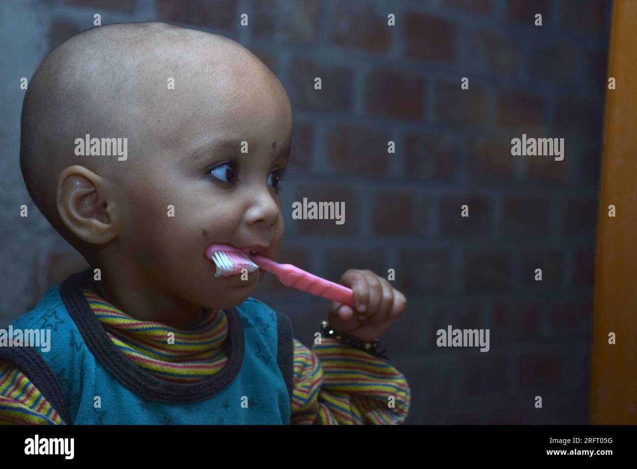 18 month old cute bald baby brushes teeth with toothbrush, brick wall ...