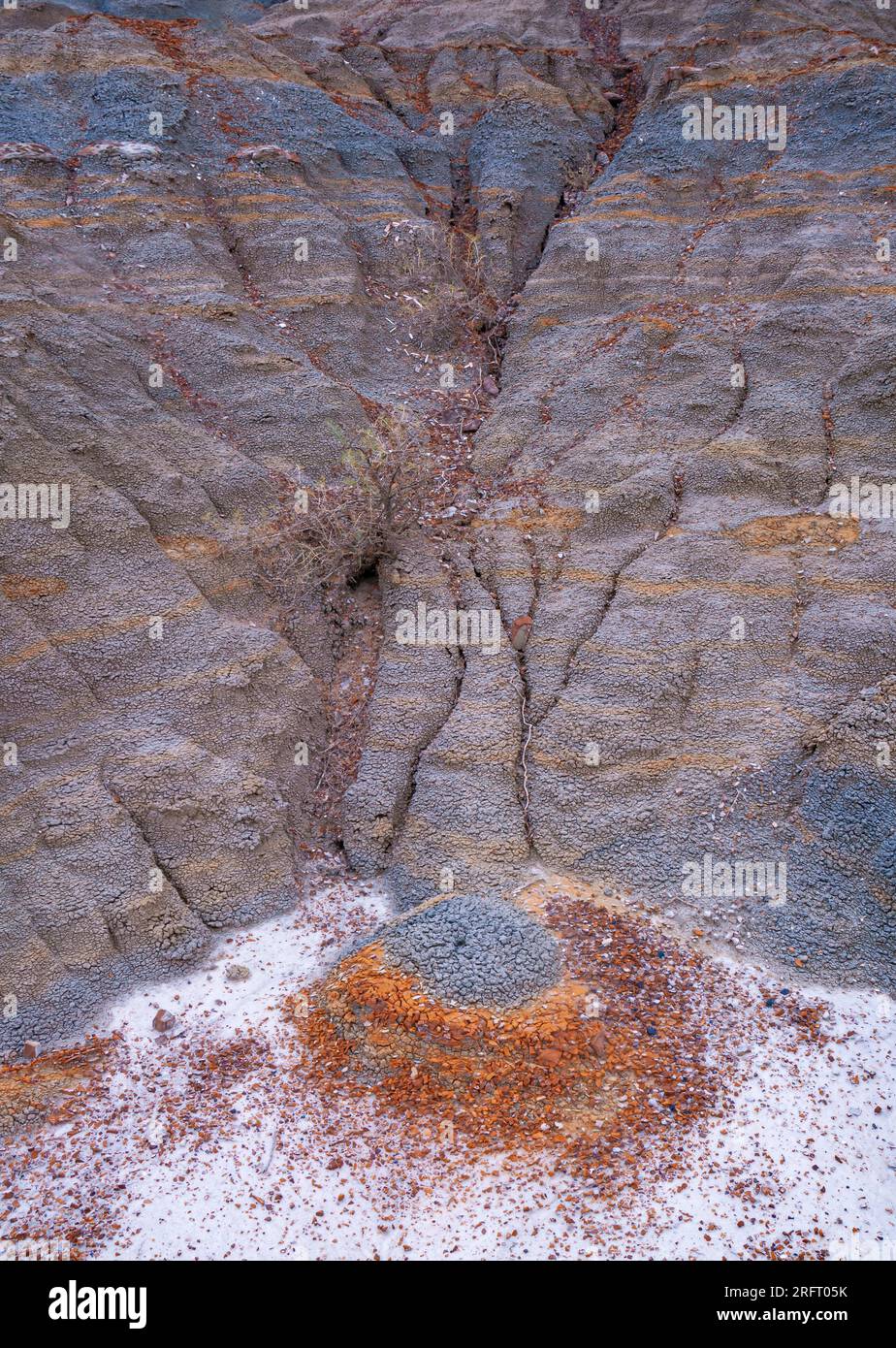 Erosion patterns layer additional texture in the Betonite clay and rock ...