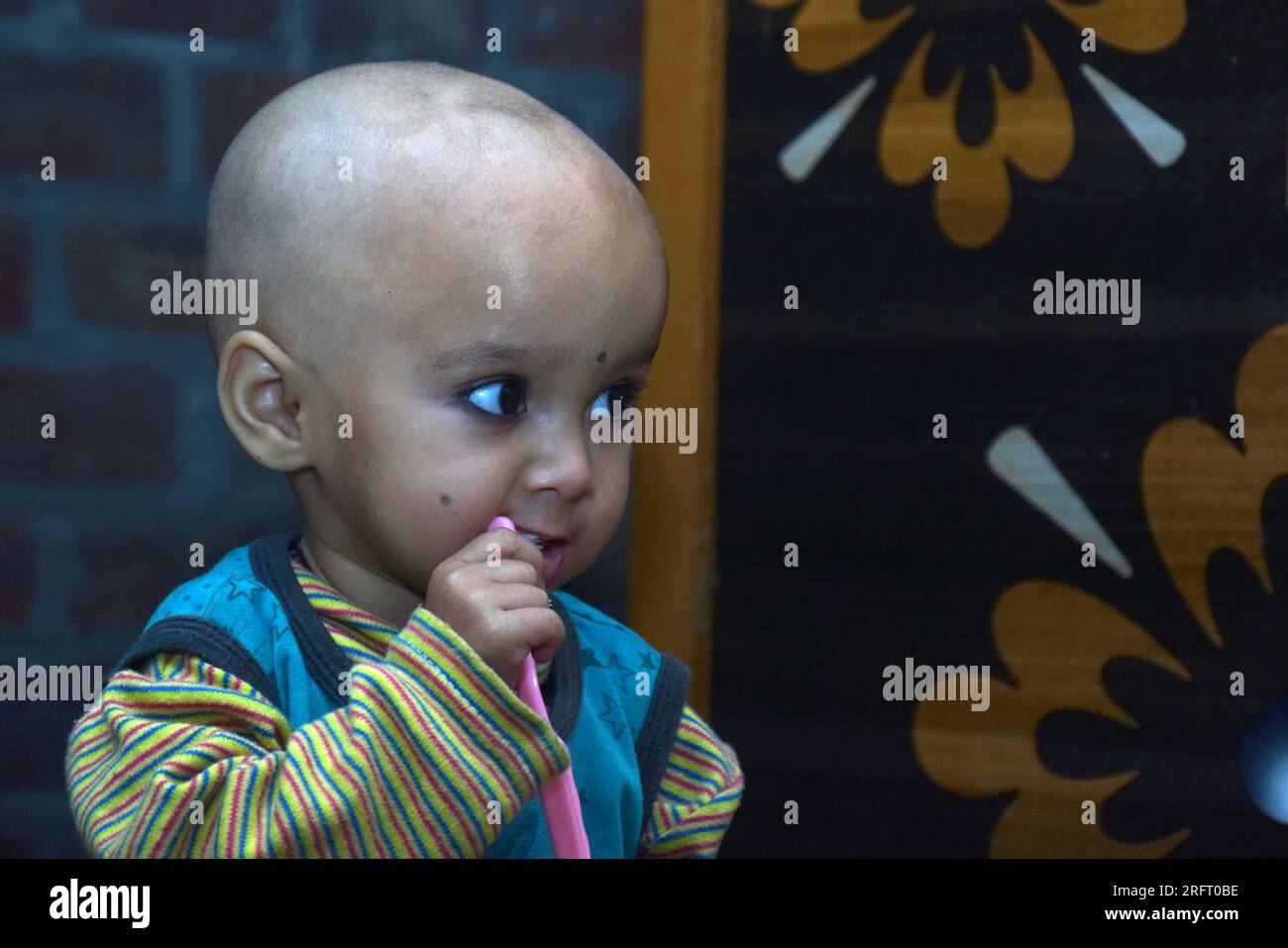 18 month old cute bald baby brushes teeth with toothbrush, brick wall ...