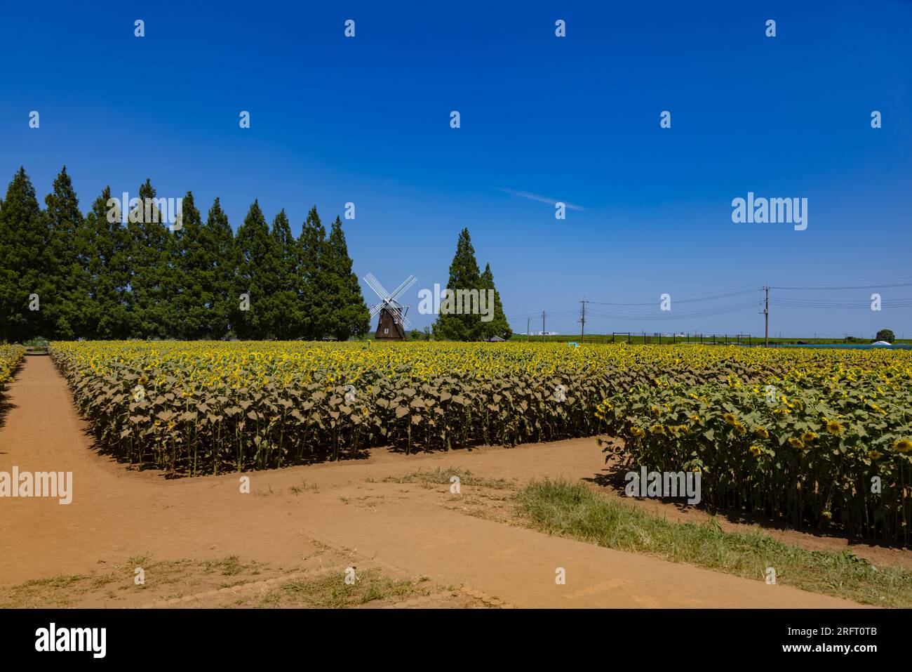 Panoramic shot beautiful windmill hi-res stock photography and images ...