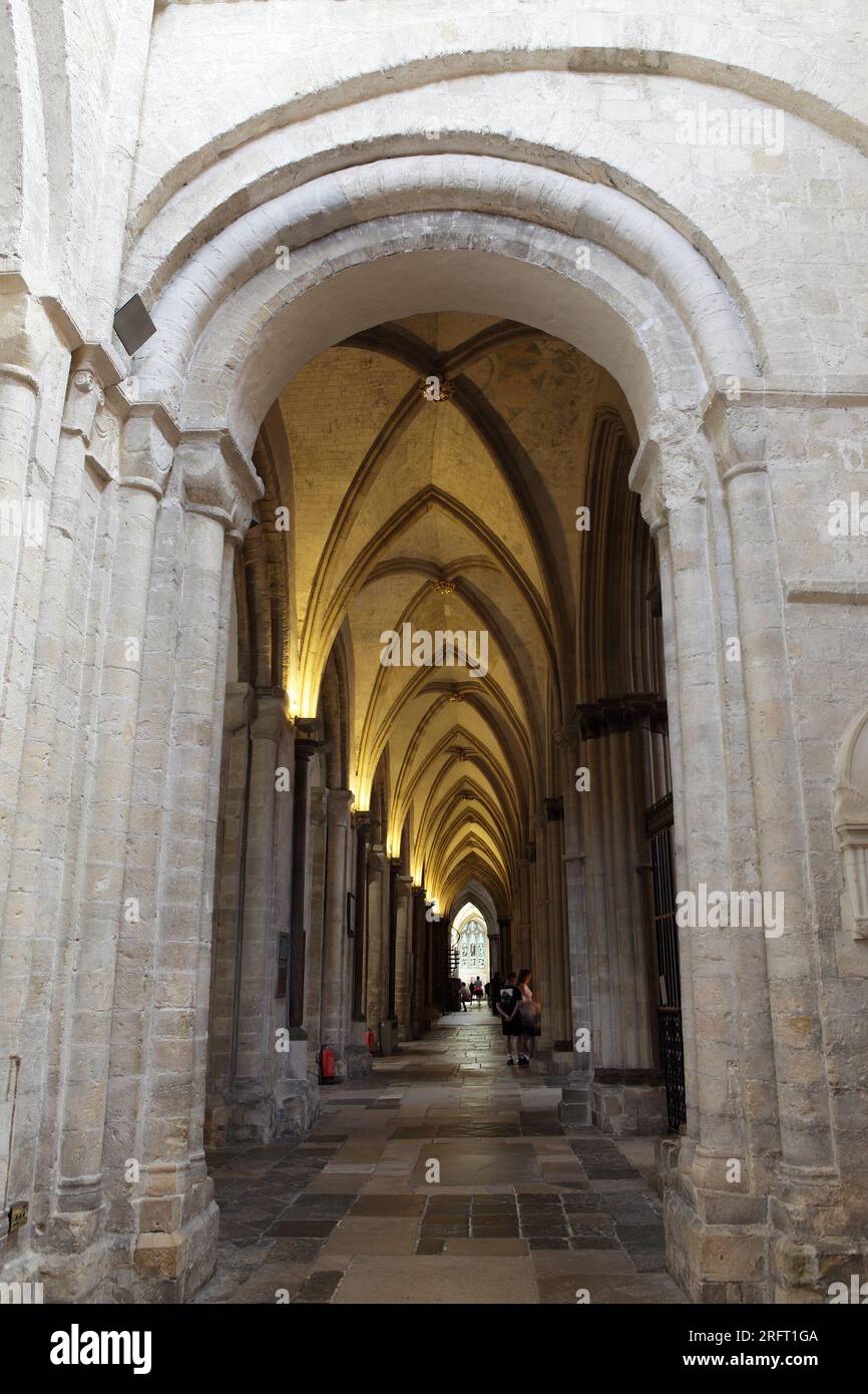 Viewed from a Norman Archway and Pallisters is the vaulted ceiling ...