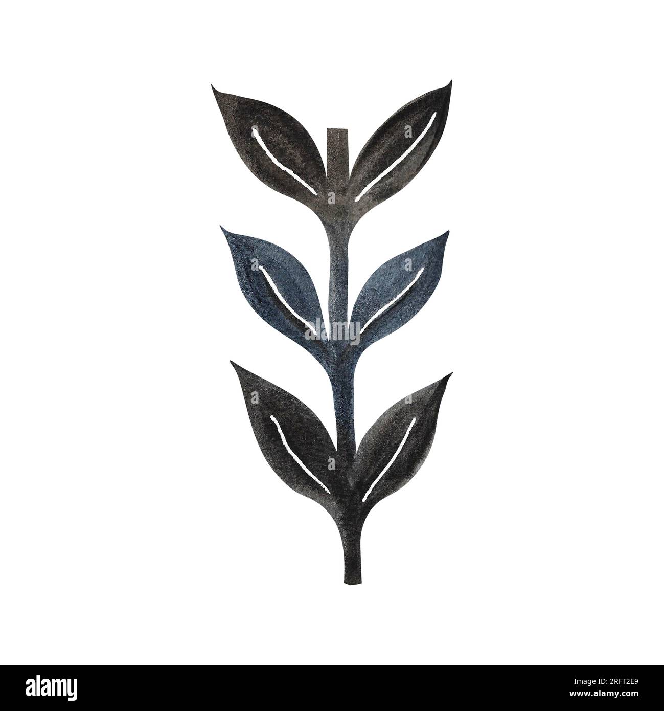 Black laurel branch. Element of Ancient Greece. Hand watercolor. Laurel ...