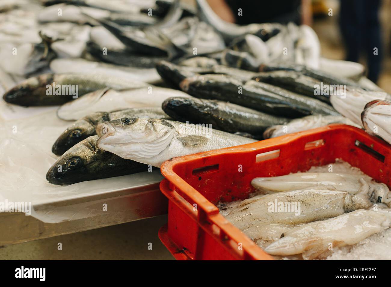 Selective focus on traditional fishing hi-res stock photography and ...