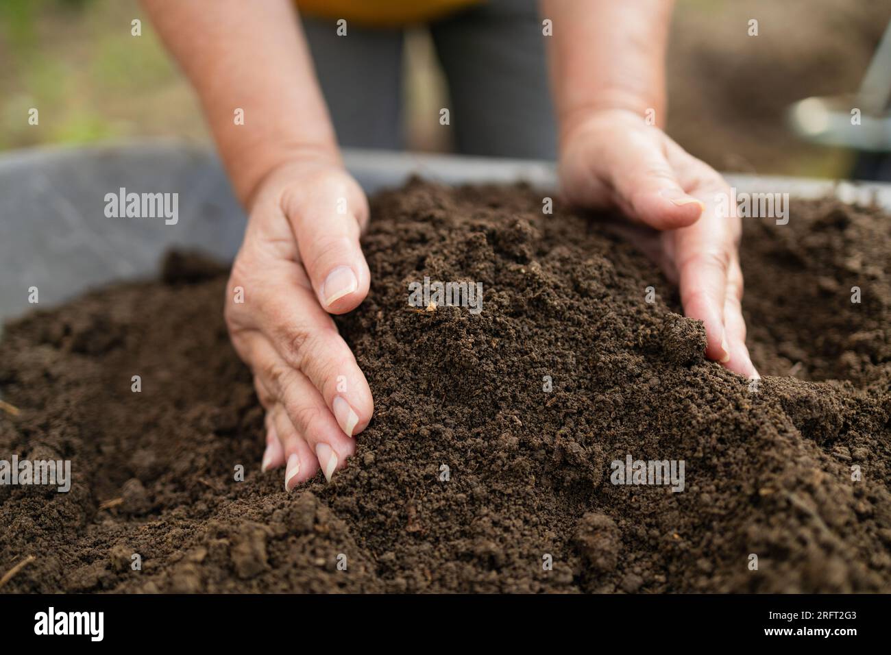 Woman hands touching soil on the field. Expert hand of farmer checking ...