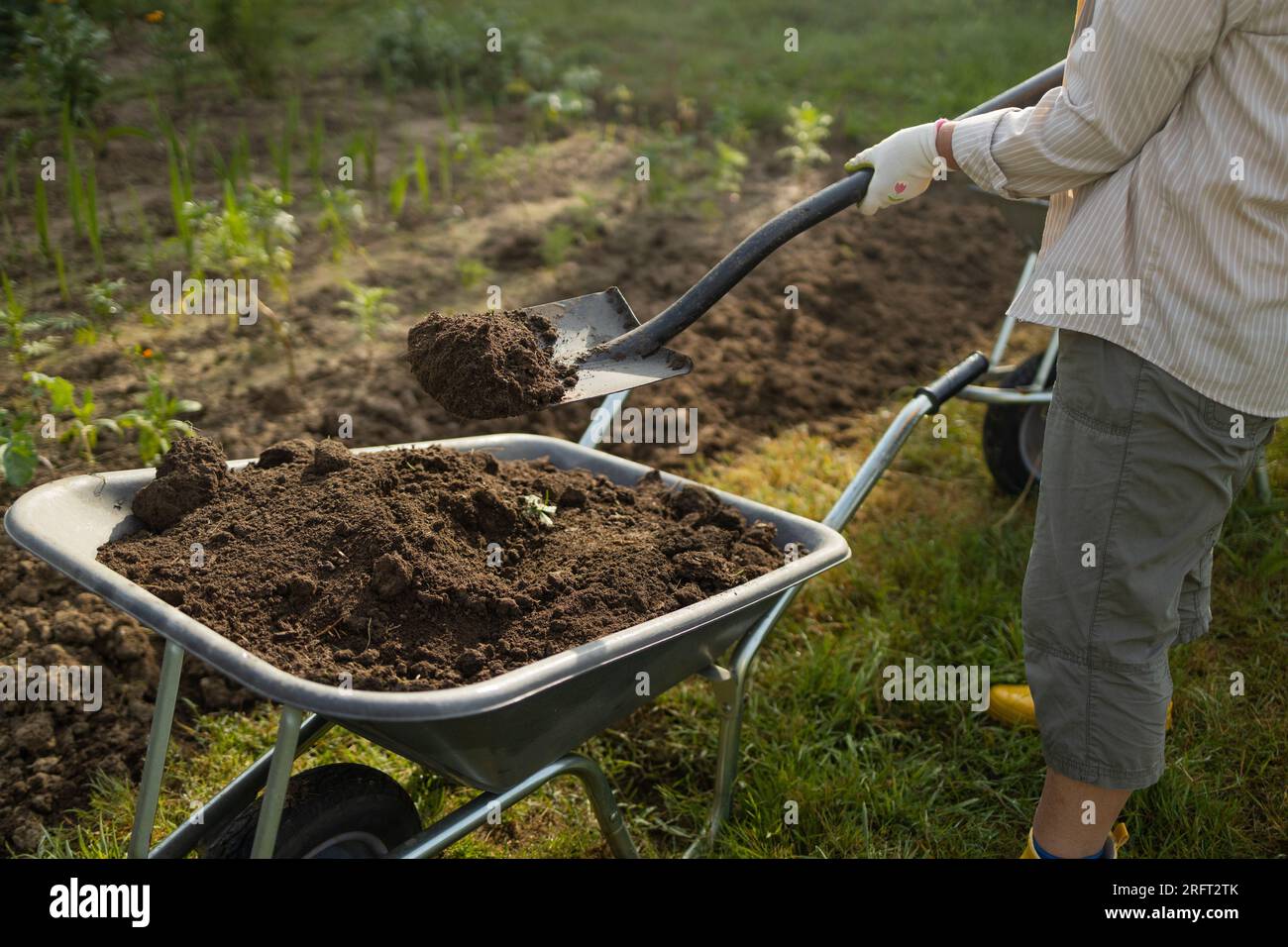 Farmer digging the soil with the shovel, young adult man with rubber ...