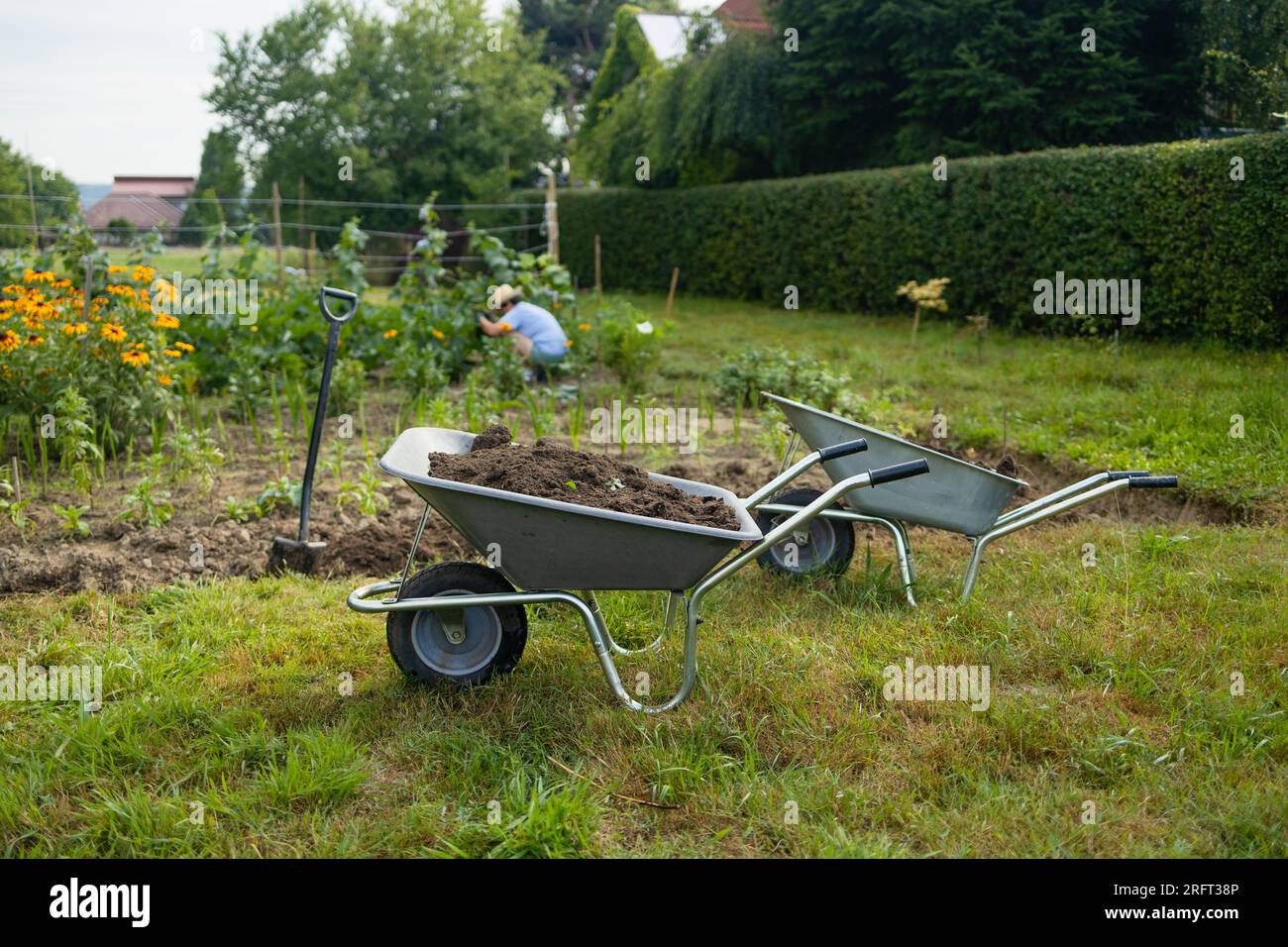 Ecological organic fertilizer to accelerate plant growth. Garden cart ...