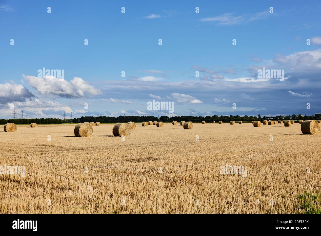 Wind turbines and straw bales lie in a field Stock Photo - Alamy