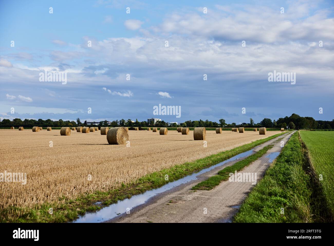 Wind turbines and straw bales lie in a field Stock Photo - Alamy