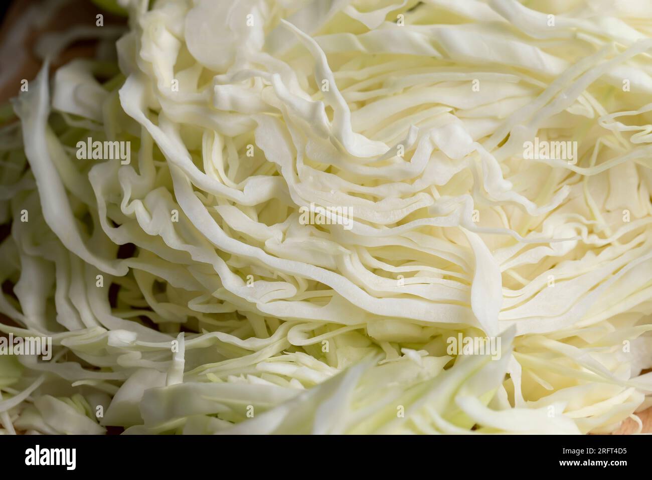 Sliced white cabbage on the table, salad preparation using fresh white ...
