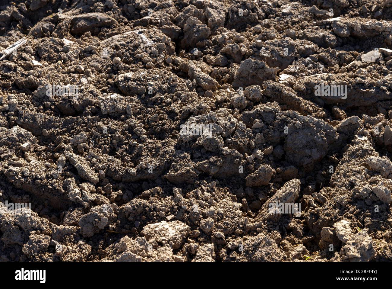 Processed plowed fertile soil in the field, preparation and tillage for ...