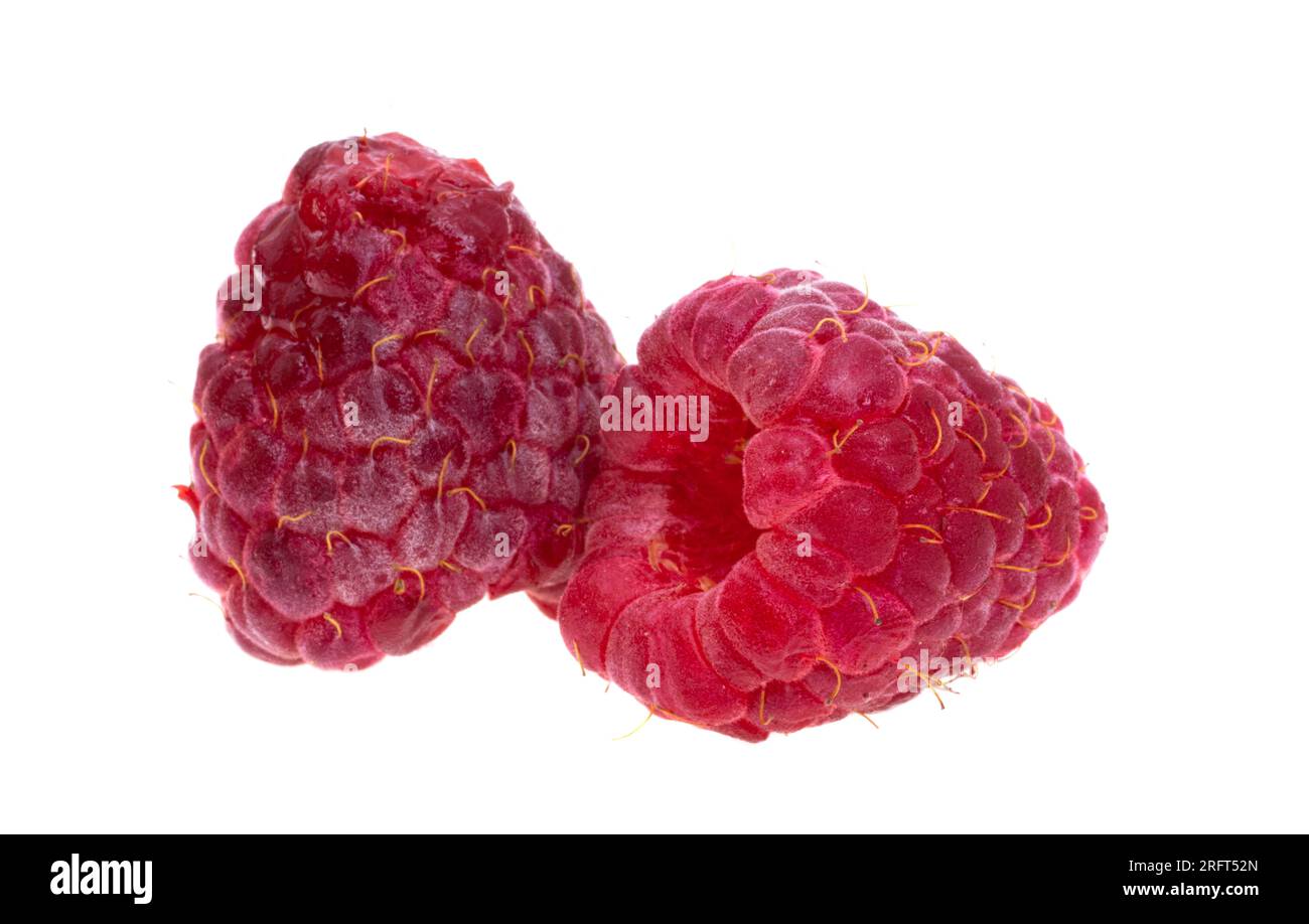 raspberries isolated on white background Stock Photo - Alamy