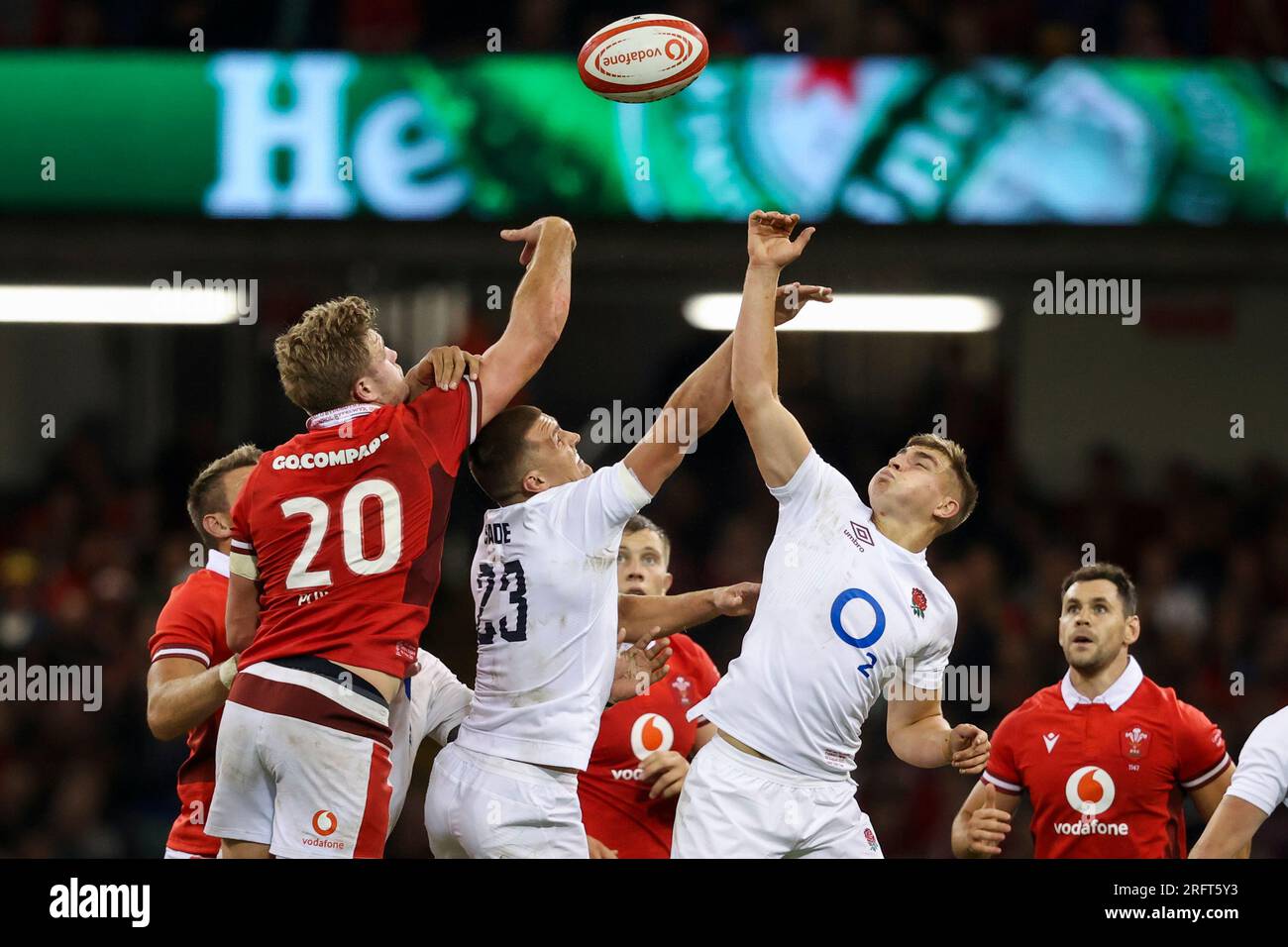 Taine plumtree hi-res stock photography and images - Alamy