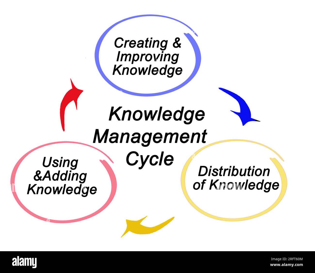 Components of Knowledge Management Cycle Stock Photo - Alamy Components of Knowledge Management Cycle Stock Photo - Alamy