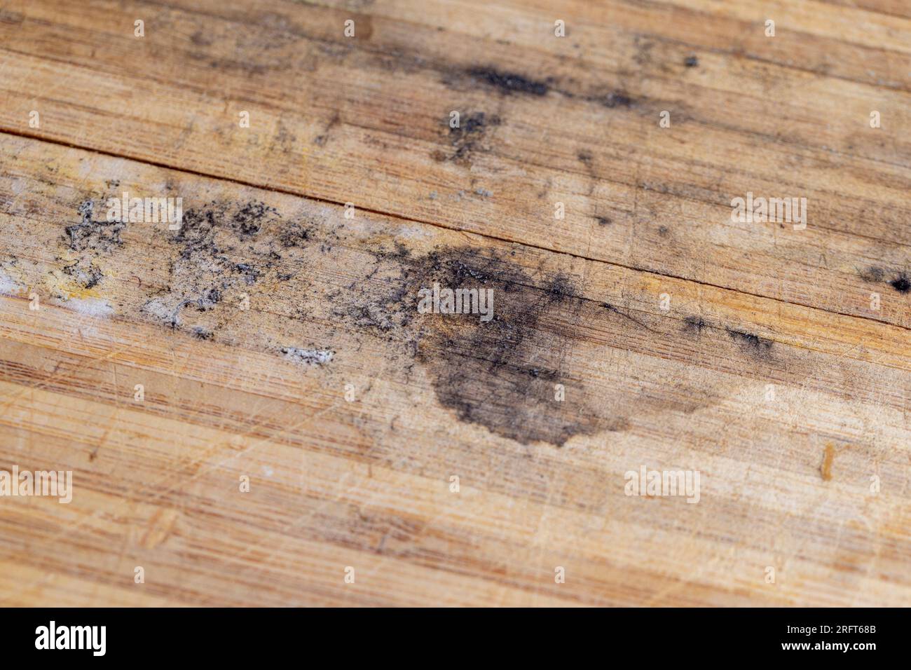 Old Bamboo Wooden Surface Covered with mold and fungus , Old Rotting ...