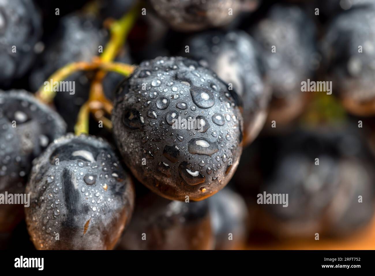 Fresh sweet washed blue grapes, cooking using sweet fresh grapes ...