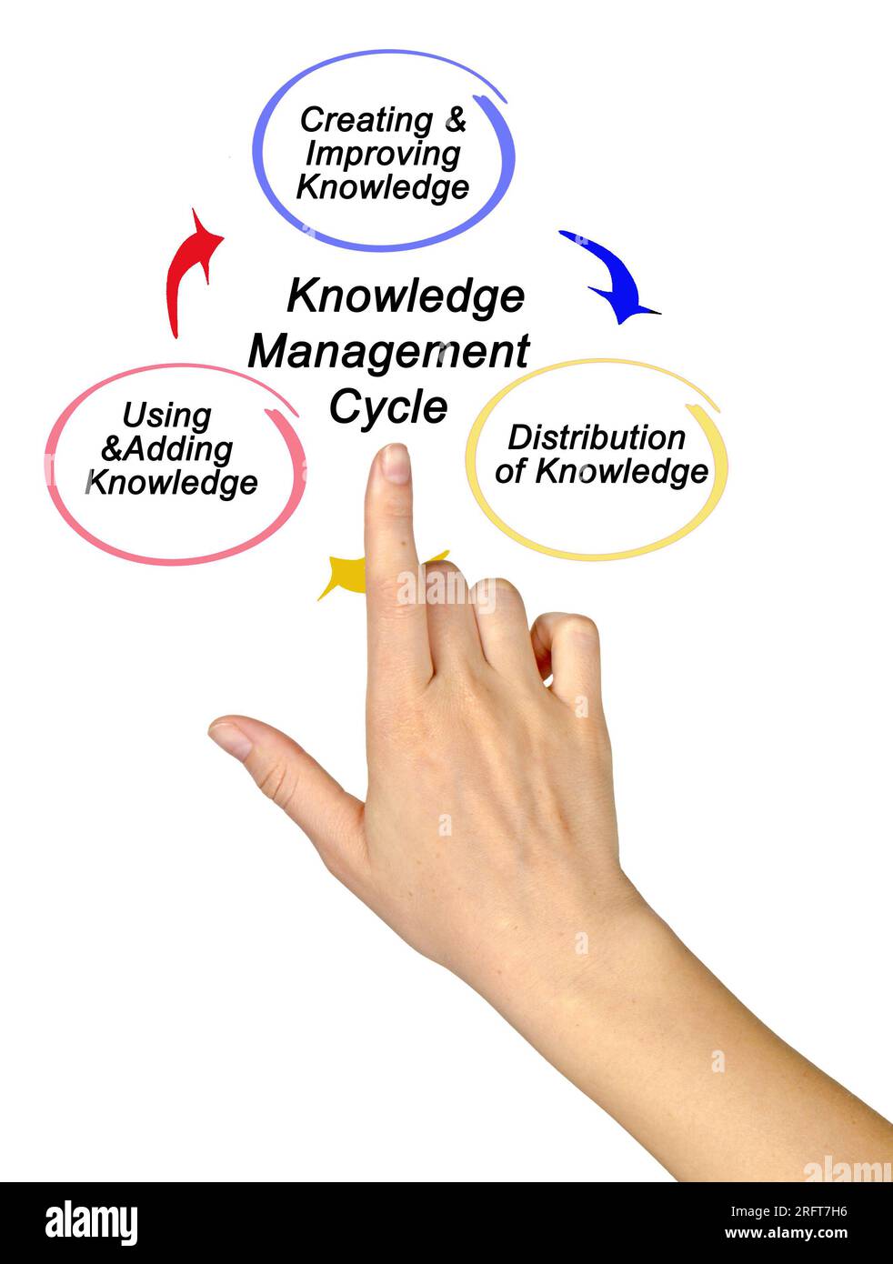 Components of Knowledge Management Cycle Stock Photo - Alamy