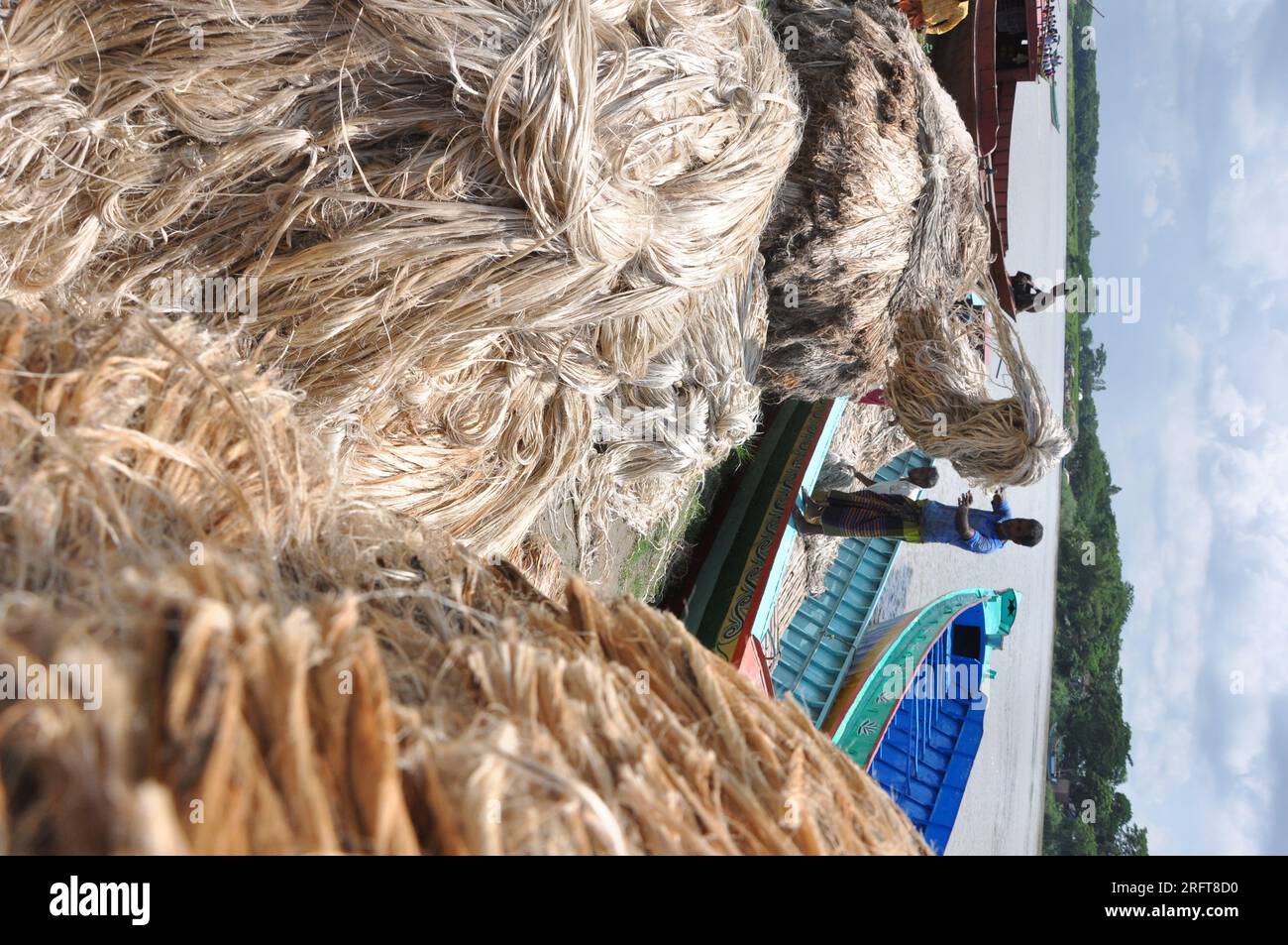 The jute industry Historically and culturally important industry in ...