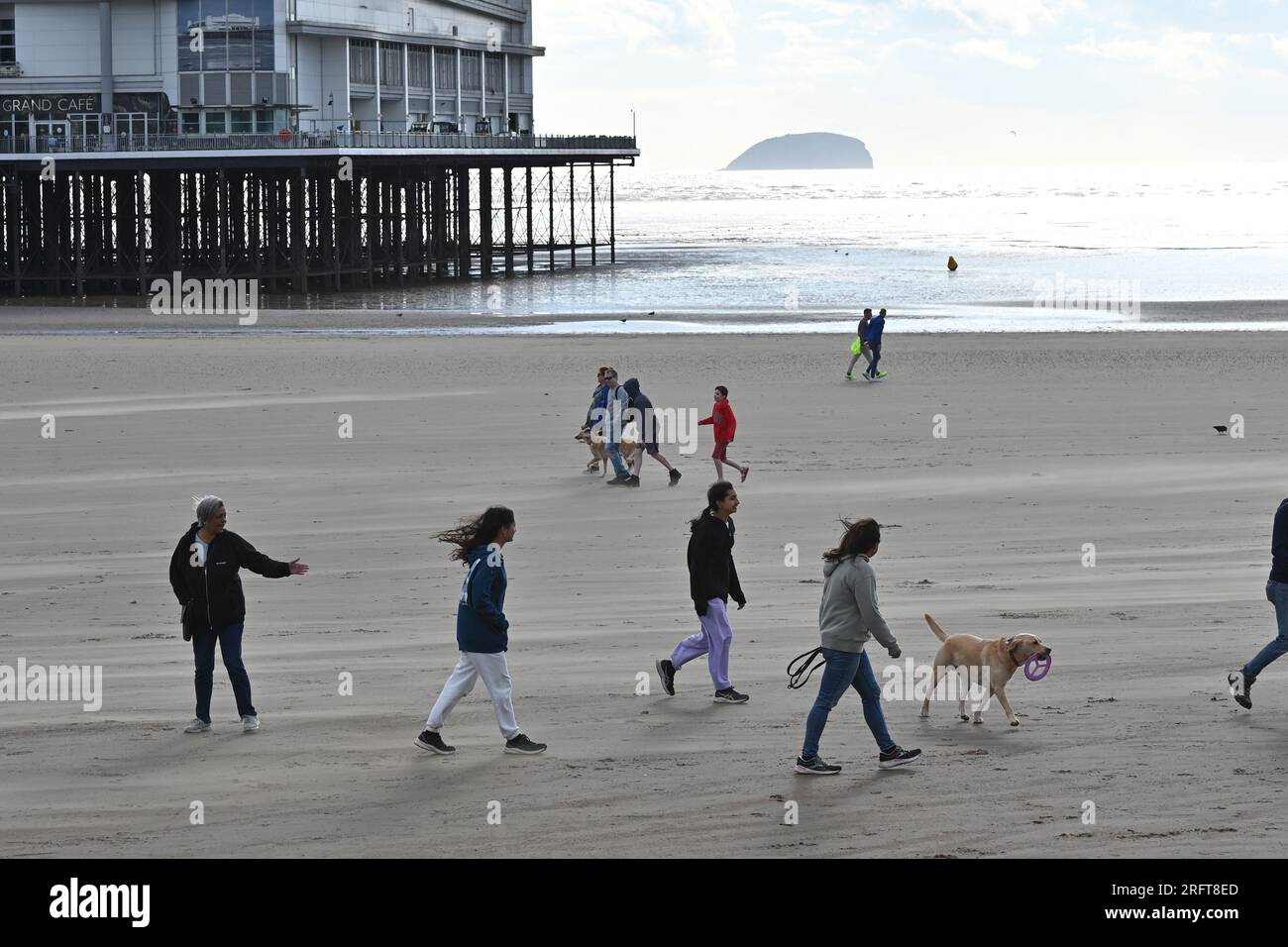 Dogs on beach weston hi-res stock photography and images - Alamy
