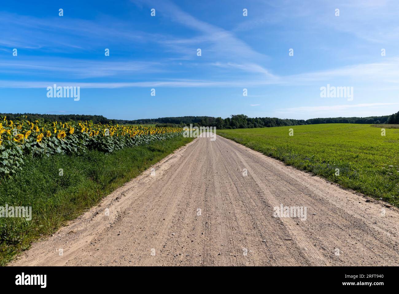 Road side areas hi-res stock photography and images - Alamy