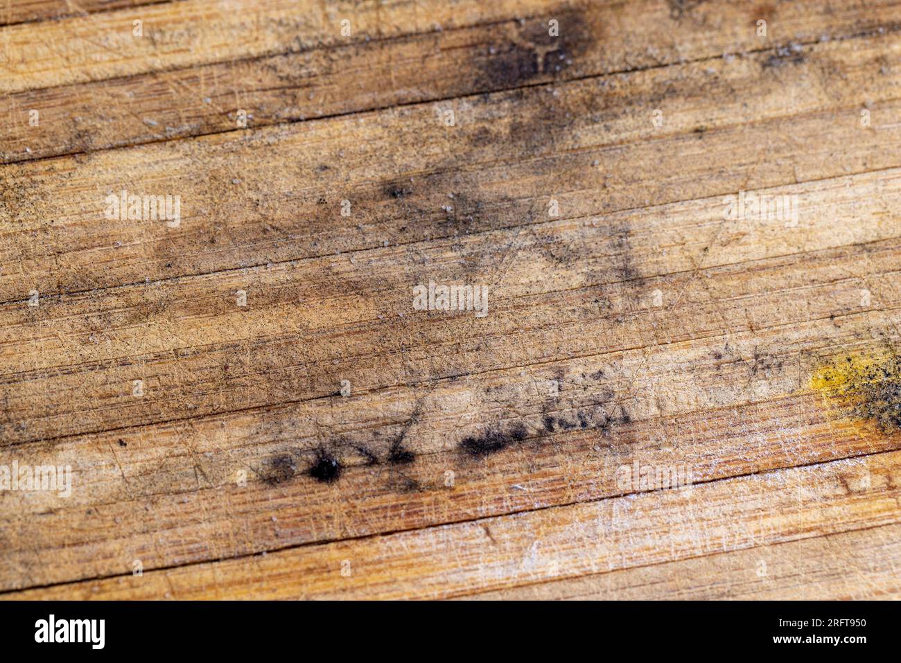 Old Bamboo Wooden Surface Covered with mold and fungus , Old Rotting ...
