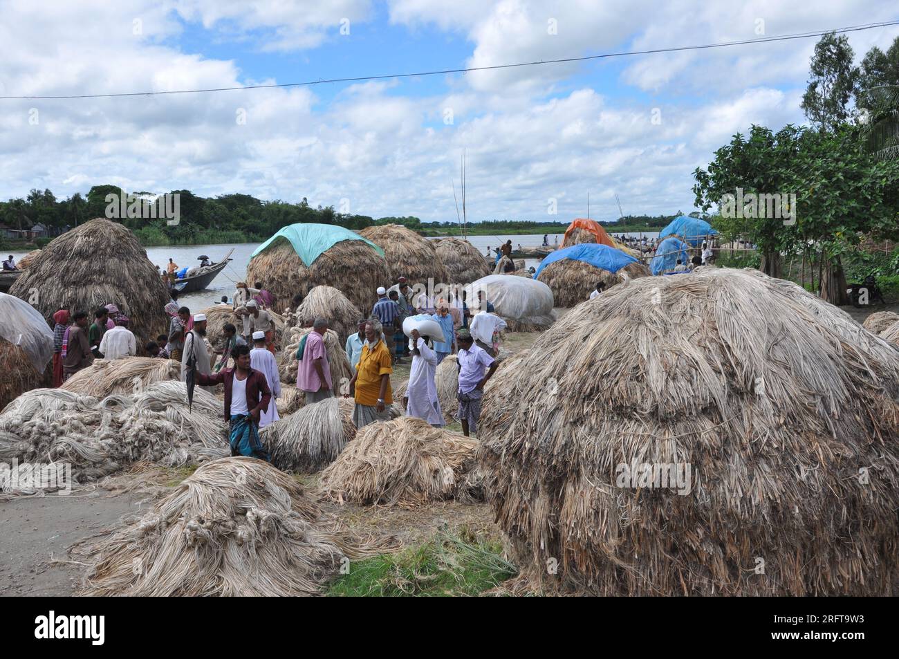 The jute industry Historically and culturally important industry in ...