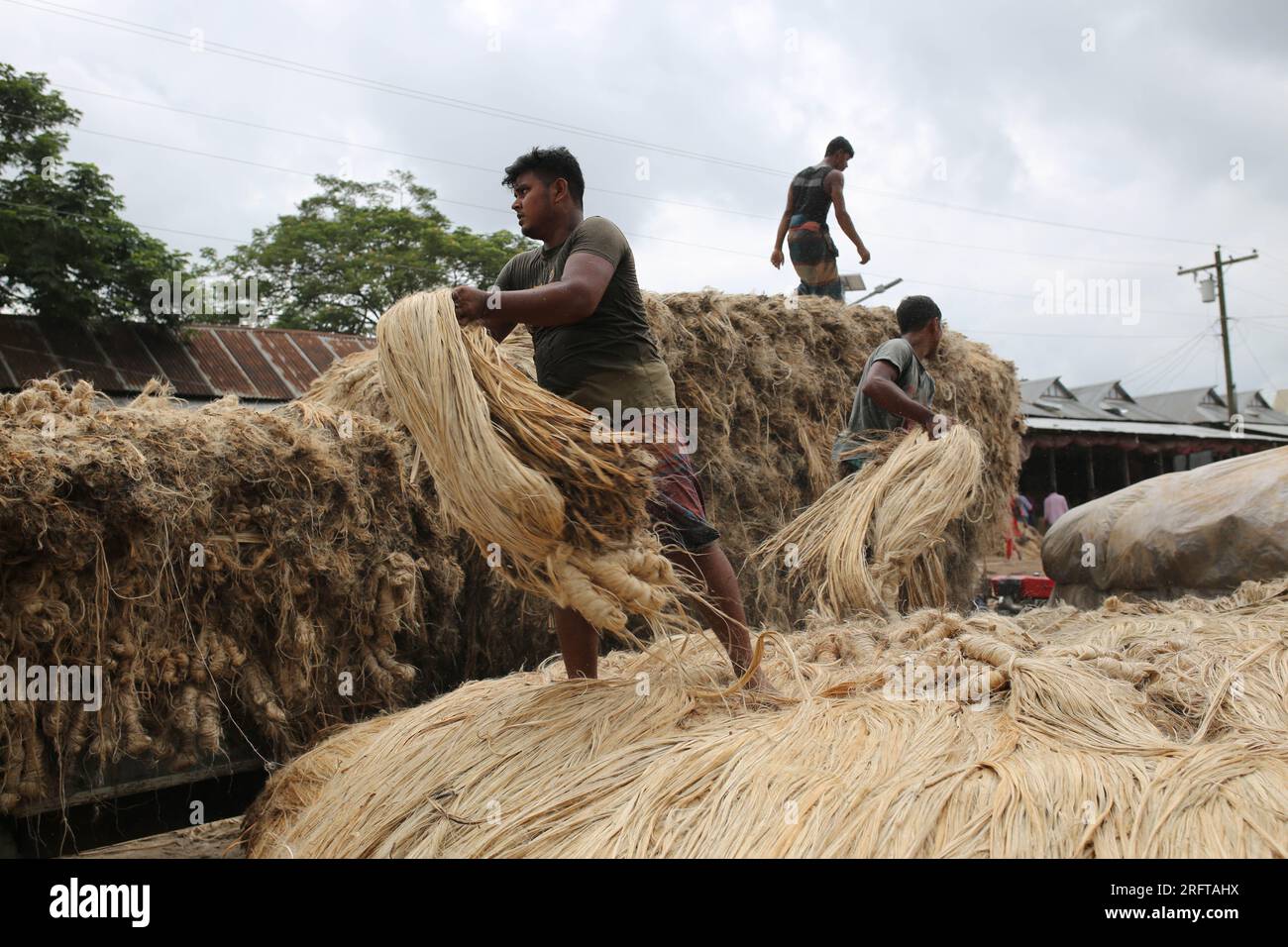 The jute industry Historically and culturally important industry in Bangladesh. Jute one of the ...