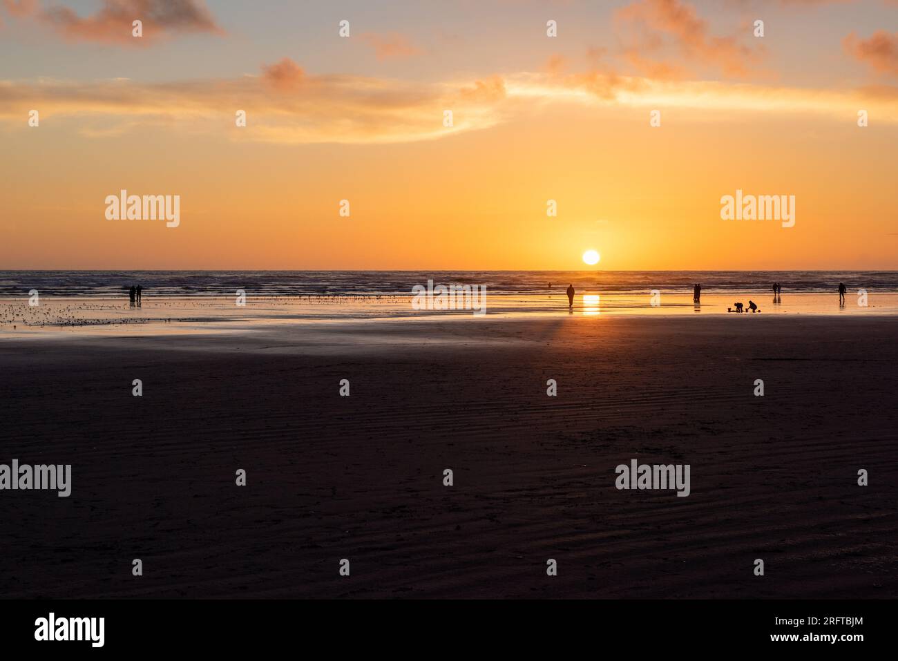 Ocean Shores Beach in Washington State Stock Photo - Alamy