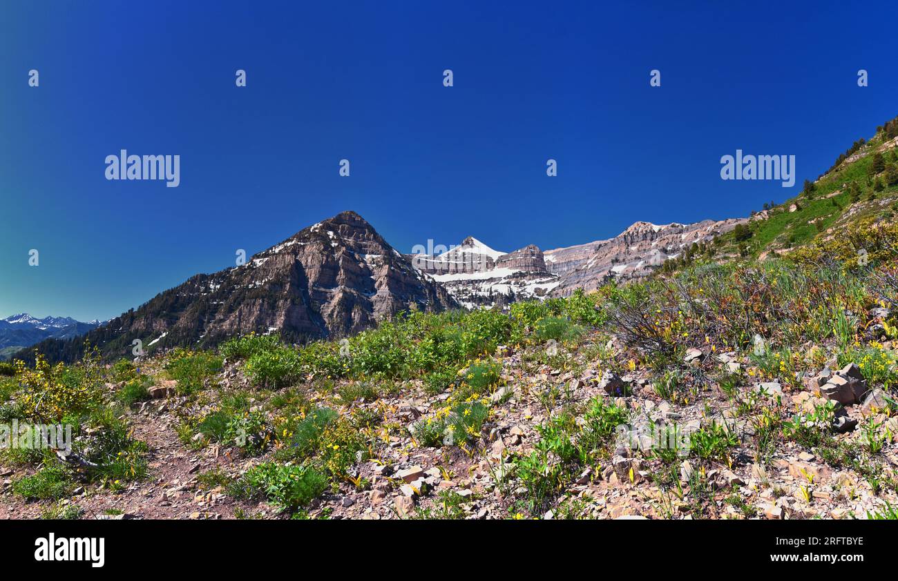 Timpanogos Peak back view hiking Primrose Overlook Horse Spring Trail ...