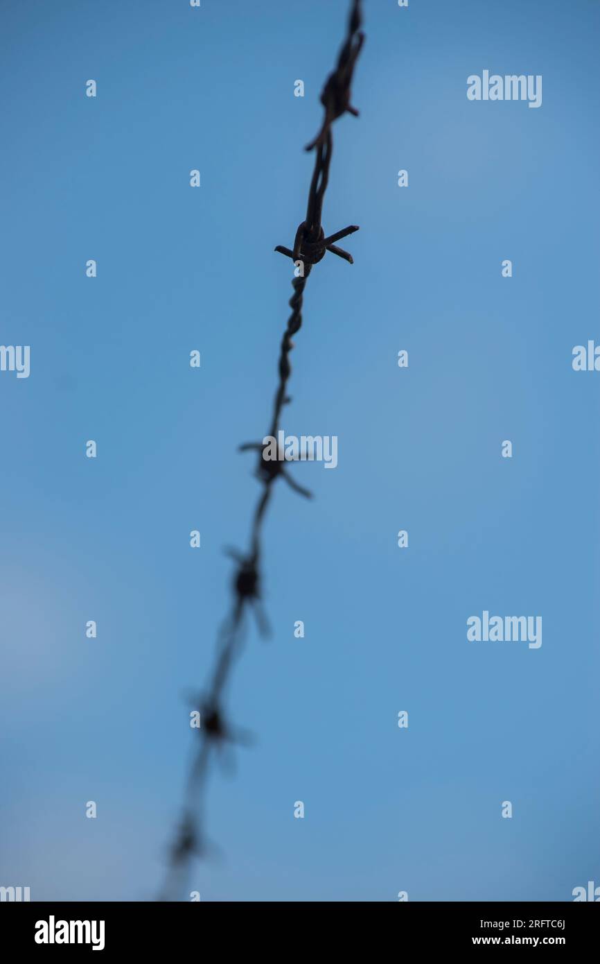 Defensive wire barrier hi-res stock photography and images - Alamy