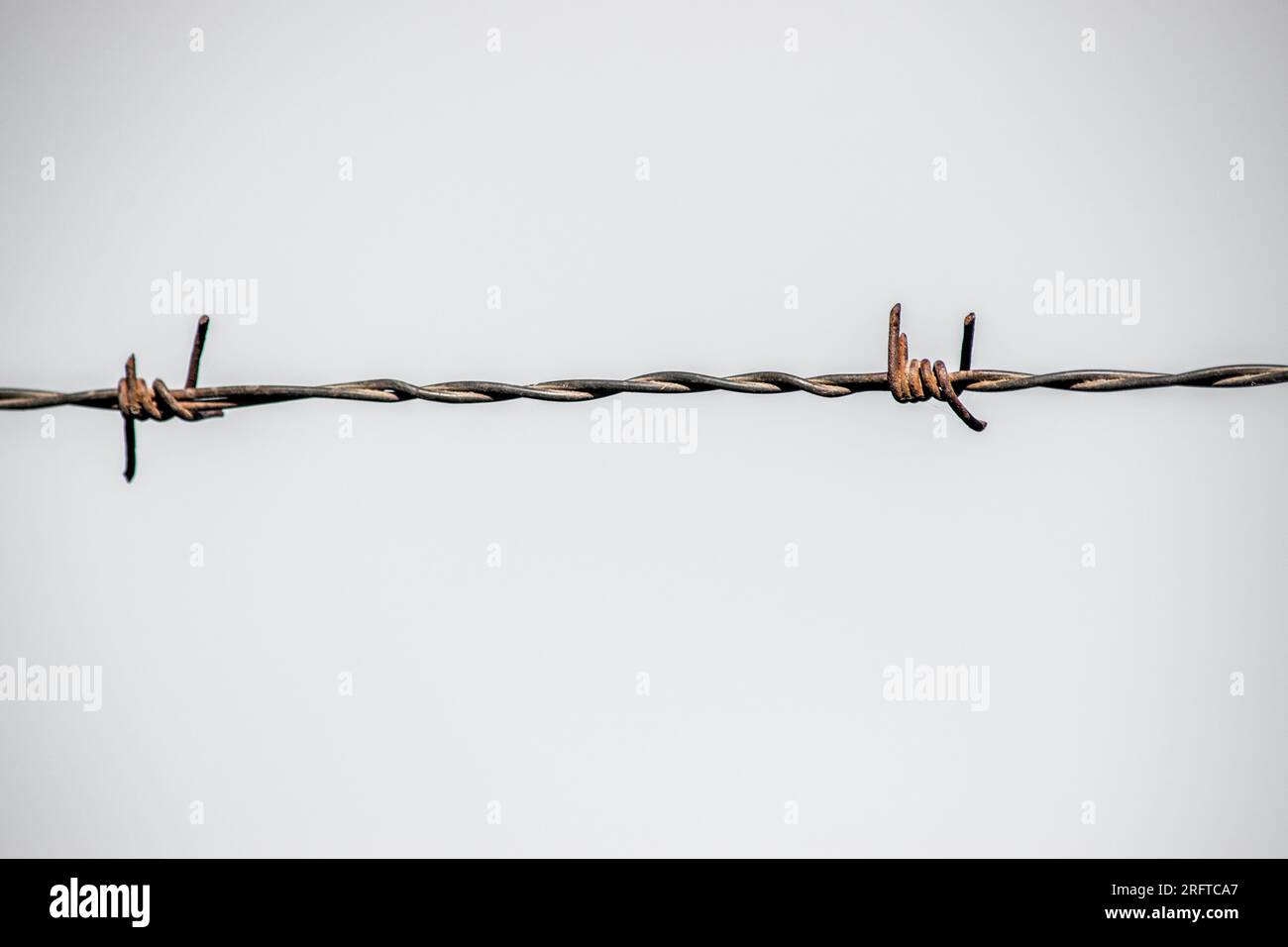 detail of a barbed wire Stock Photo - Alamy
