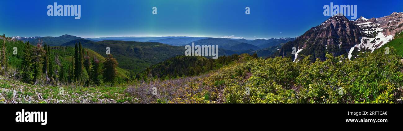 Timpanogos Peak back view hiking Primrose Overlook Horse Spring Trail ...