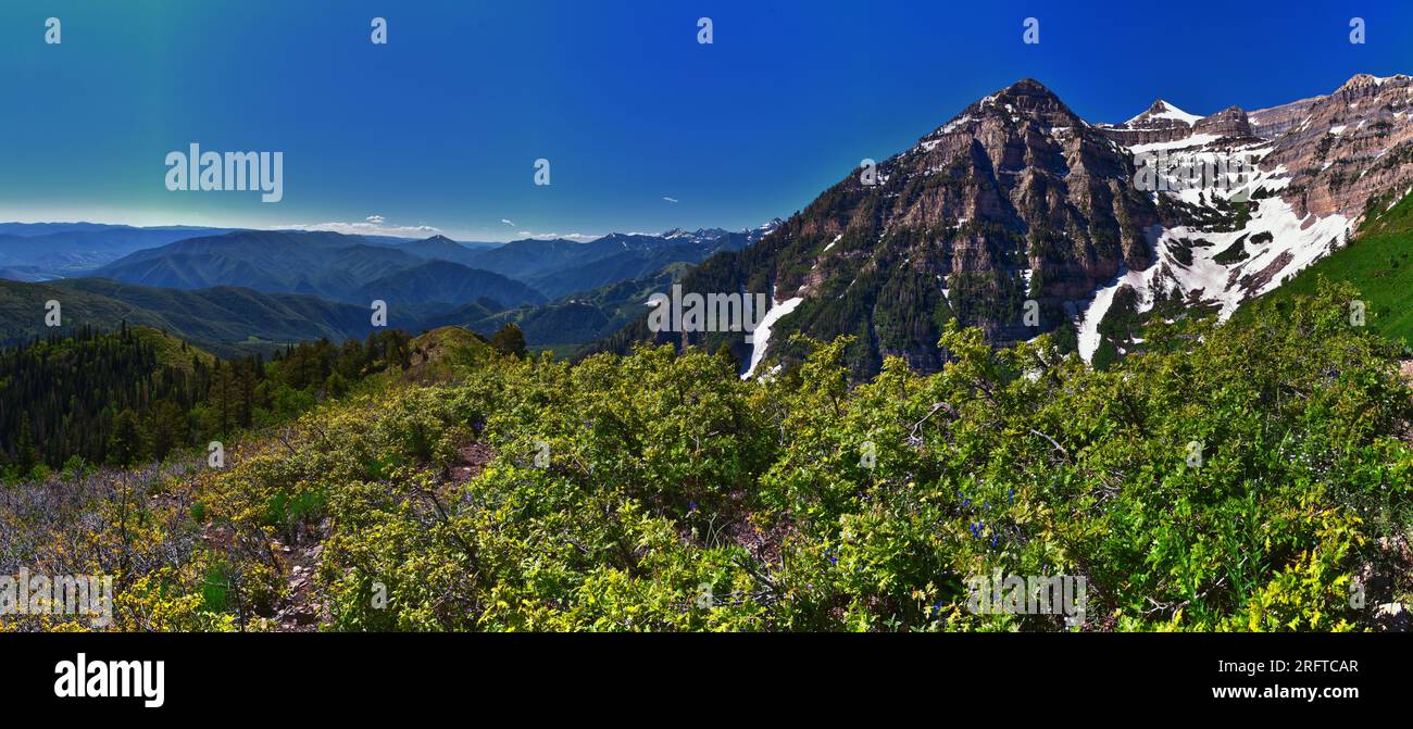 Timpanogos Peak back view hiking Primrose Overlook Horse Spring Trail ...