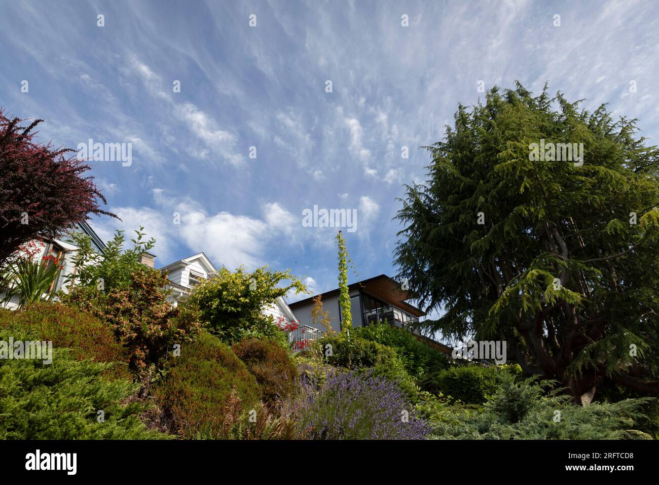 Seattle neighborhood residential hi-res stock photography and images ...